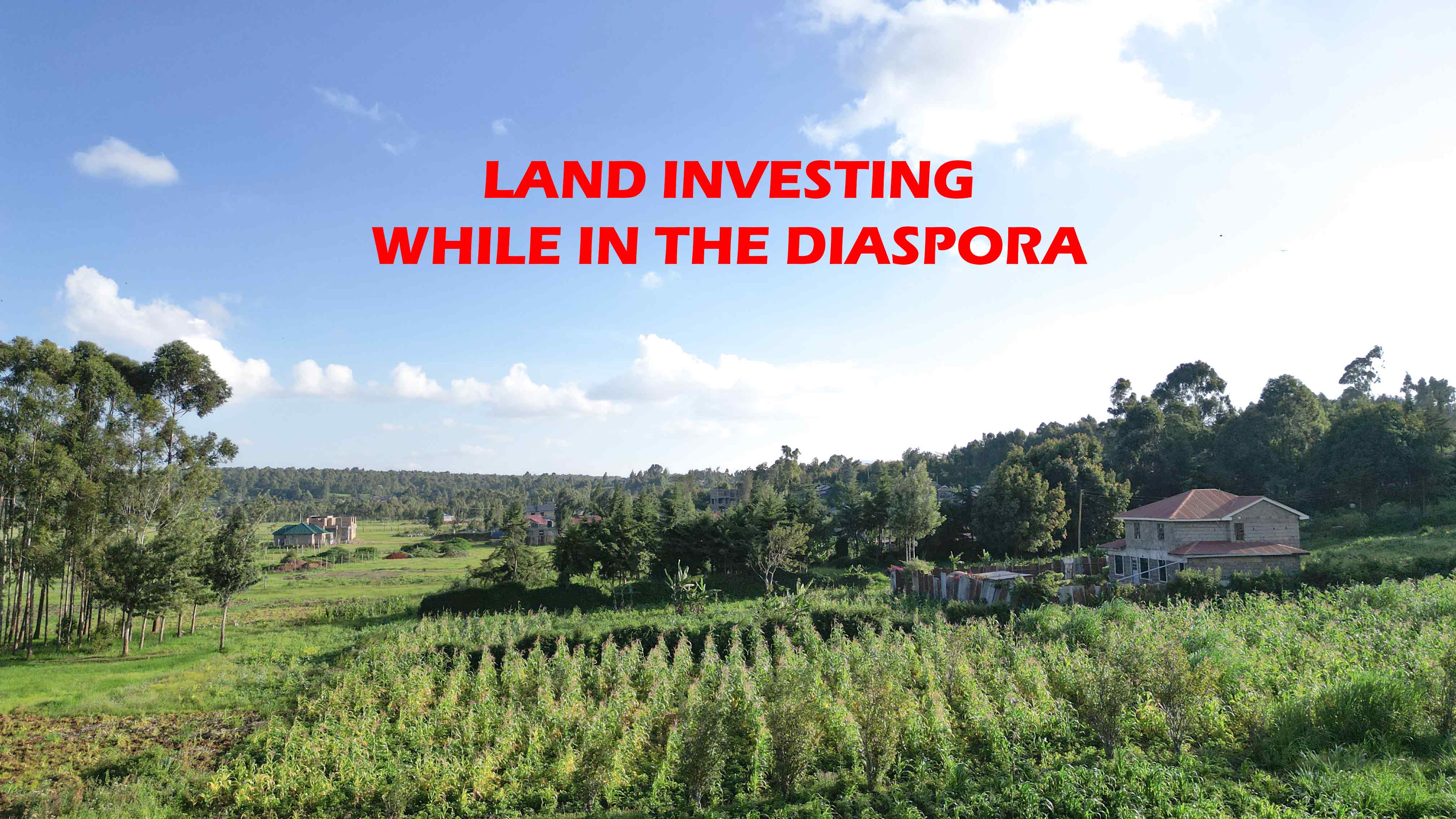 How To Make Land Transactions From Diaspora - Amcco Properties Limited