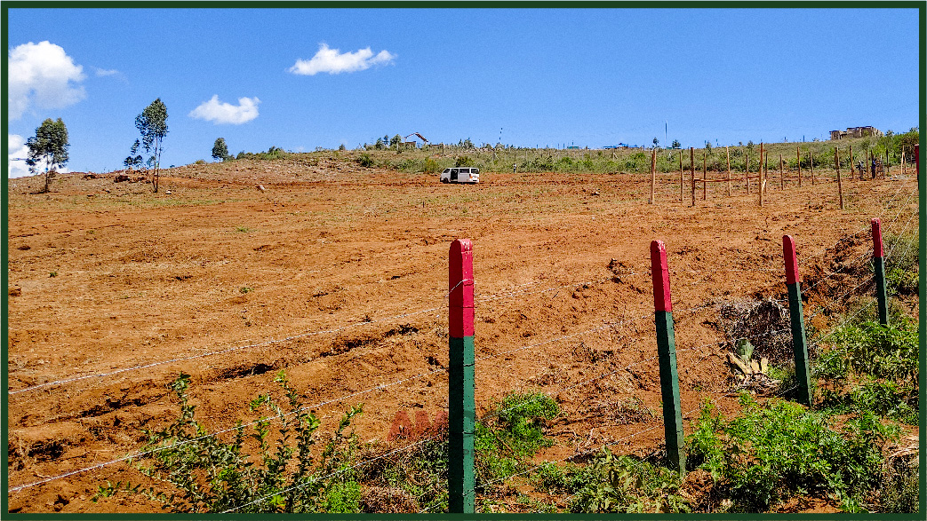 Affordable Plots In Kamangu | Phase V - Amcco Properties Limited