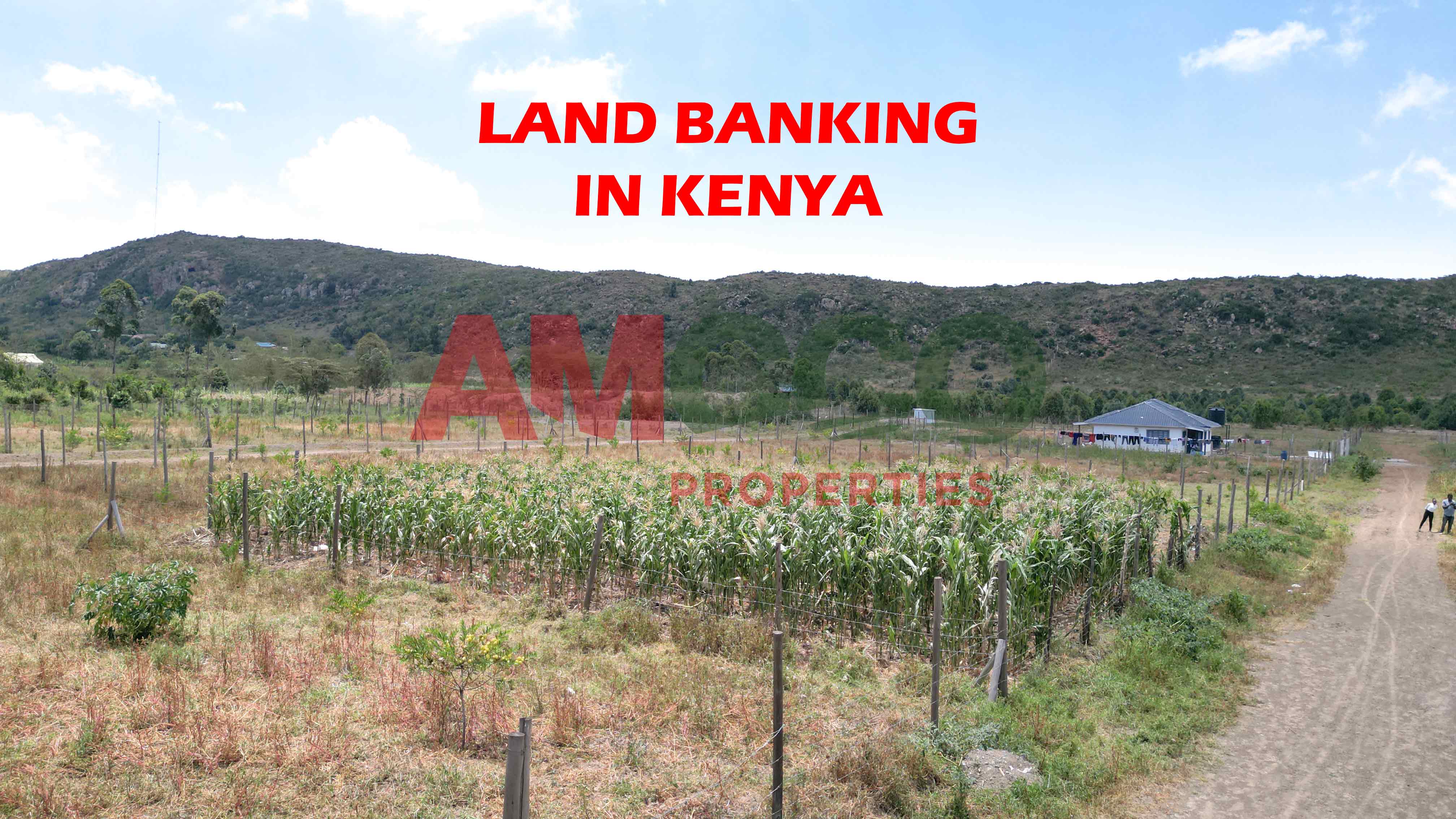 Why Land Banking Is The Best Form Of Investment - Amcco Properties Limited