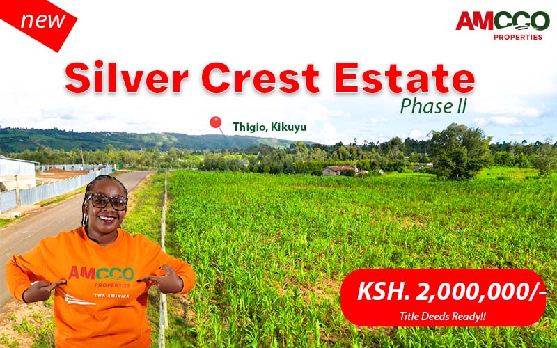 How Much It Costs To Process A Title Deed In Kenya - Amcco Properties ...