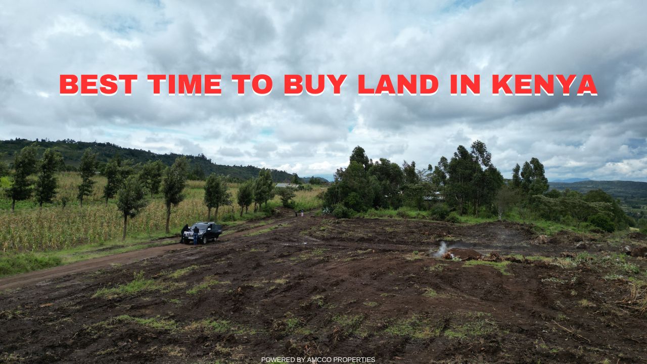 Best Time To Buy Land In Kenya: A Guide By Amcco - Amcco Properties Limited